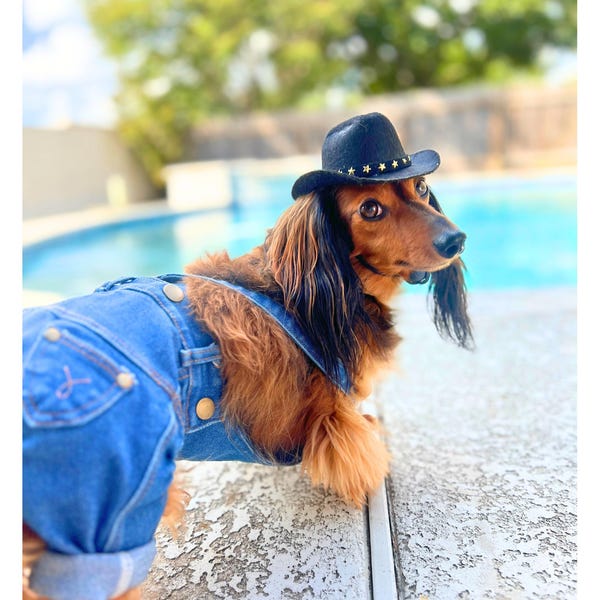 Costumes - Etsy