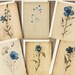 Thank You Cards any Occasion Paper Quill Greeting Card Set, Assorted ...
