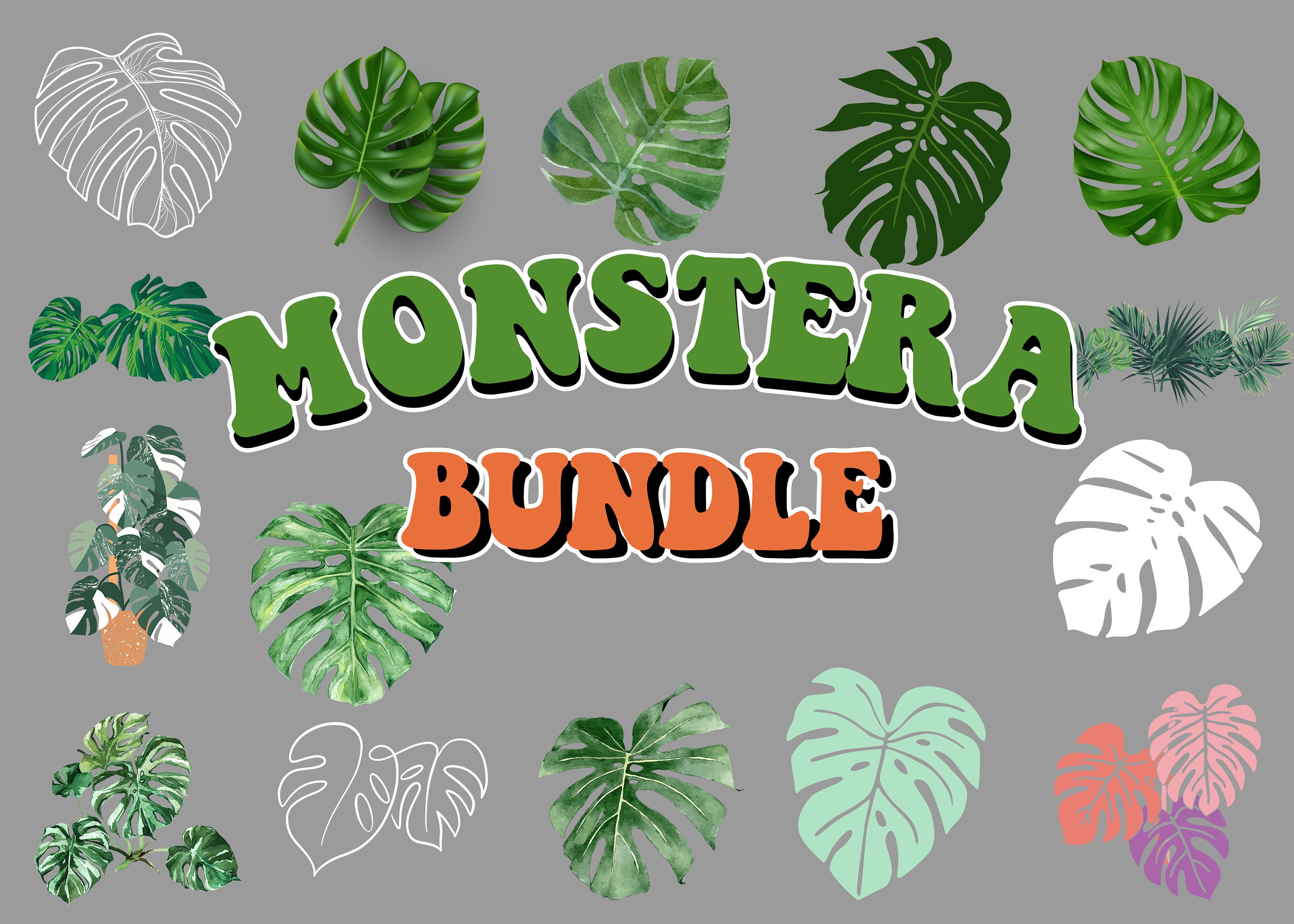 Monstera Png Bundle Tropical Leaf Tropical Leaf Silhouette - Etsy