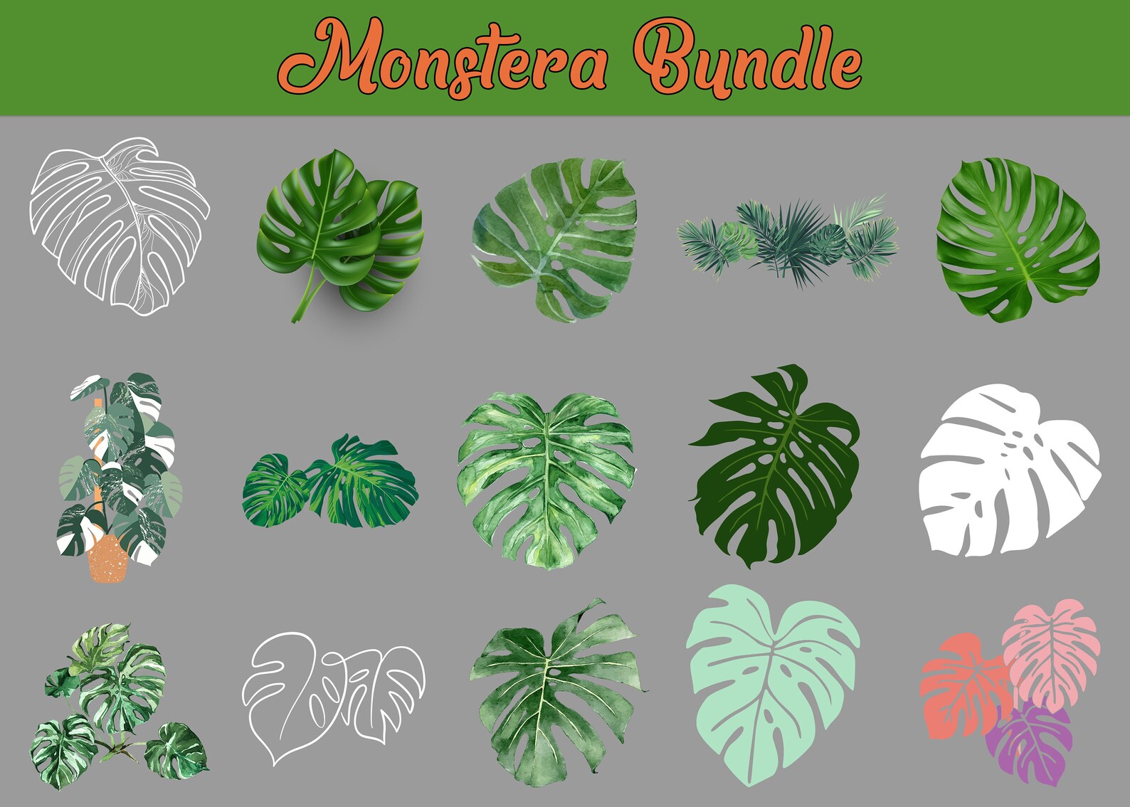 Monstera Png Bundle Tropical Leaf Tropical Leaf Silhouette - Etsy