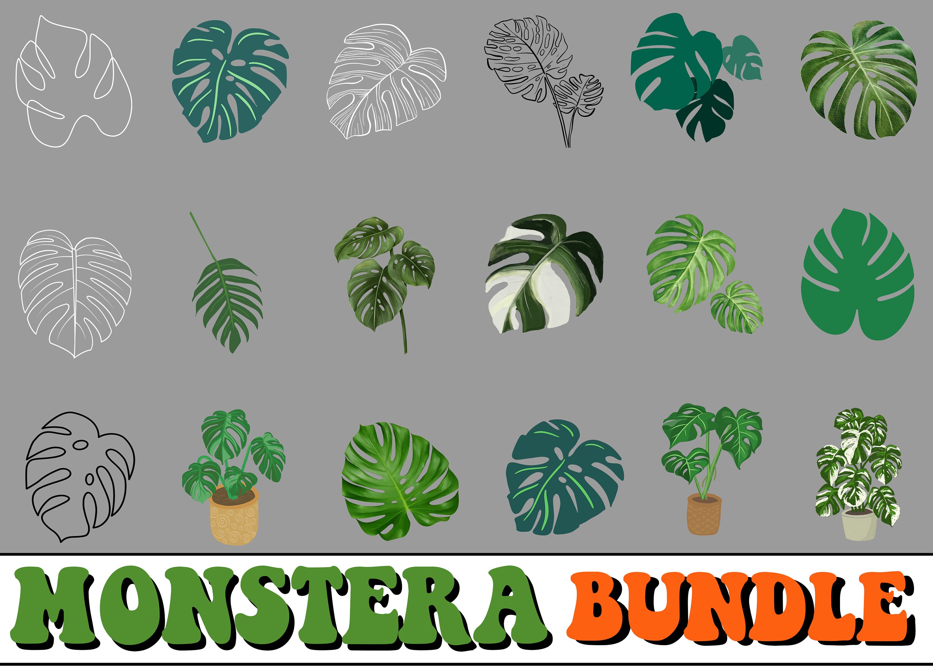 Monstera Png Bundle Tropical Leaf Tropical Leaf Silhouette - Etsy