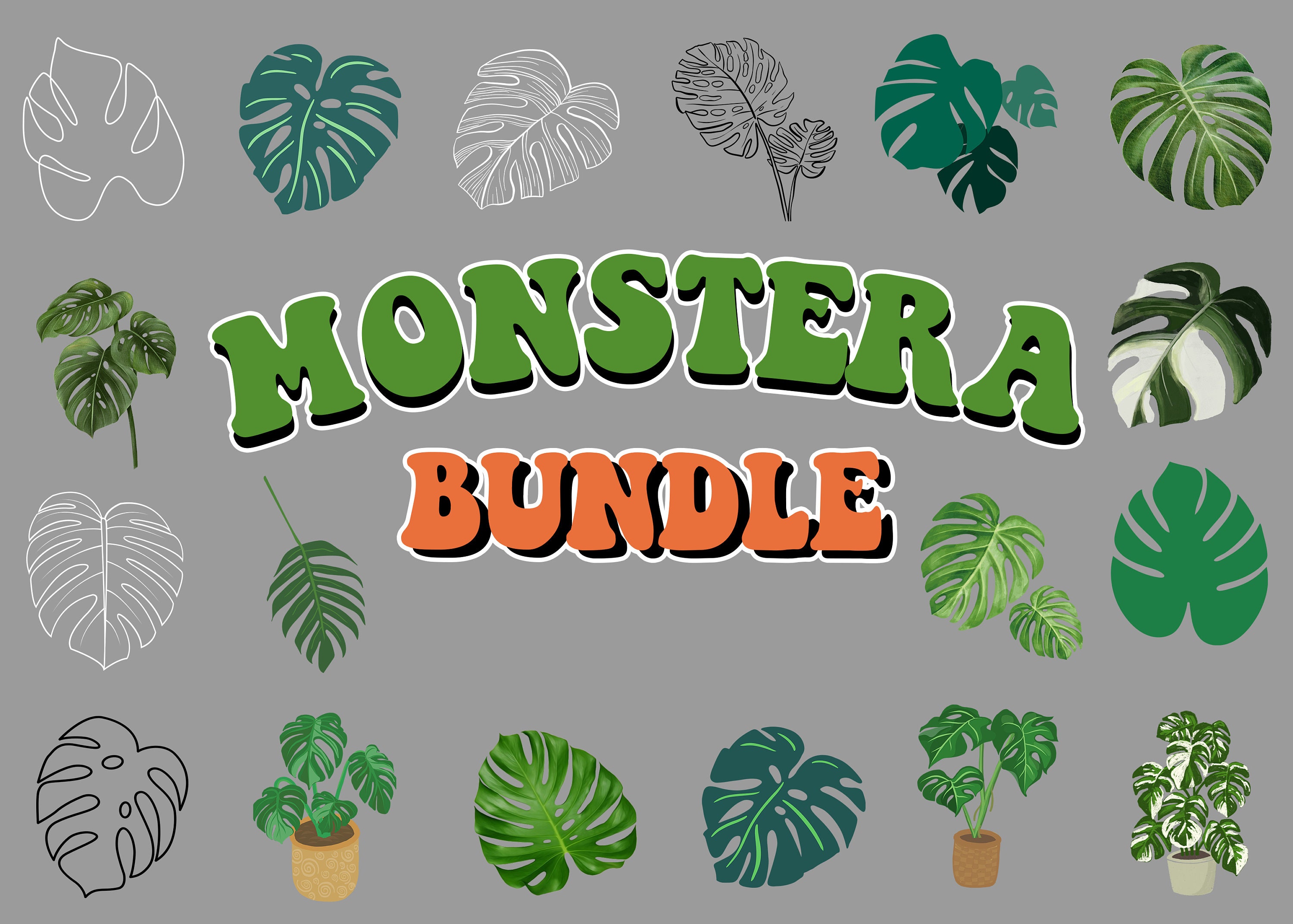 Monstera Png Bundle Tropical Leaf Tropical Leaf Silhouette Monstera ...