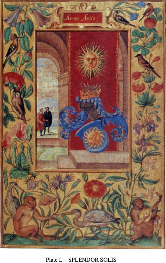 Splendor Solis Alchemy Enlightenment Esoteric - Etsy Portugal