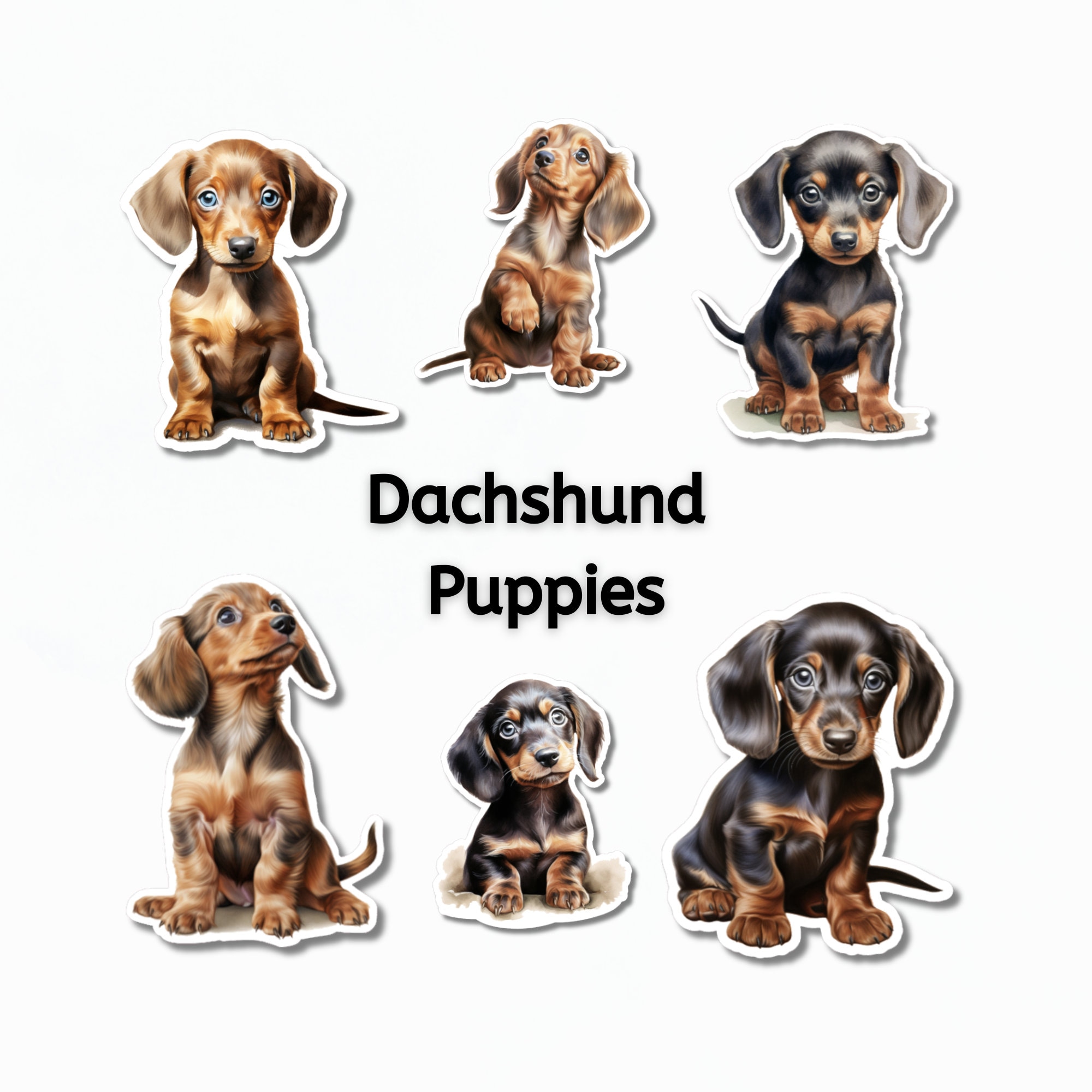 Dachshund Puppy Die-cut Stickers, Water Resistant, Laptop Decal ...