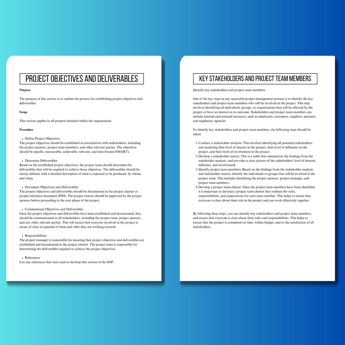 Standard Operating Procedure Project Management, Business Manual, SOP ...