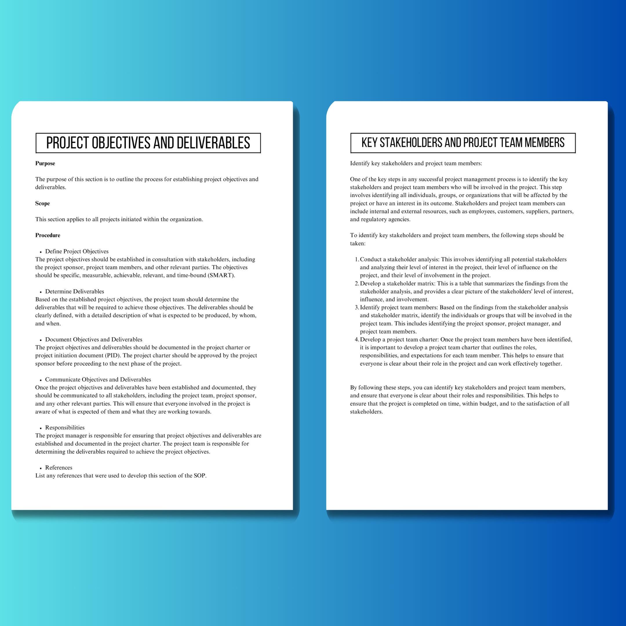 Standard Operating Procedure Project Management, Business Manual, SOP ...