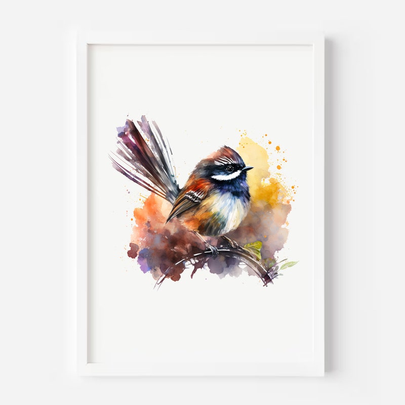 Fantail - Etsy