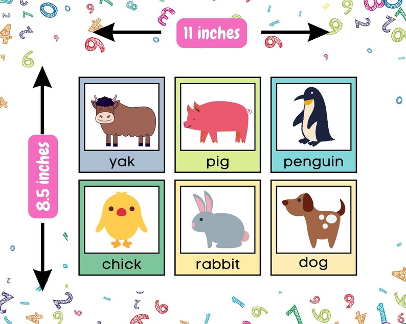 40 Animal Flash Cards Printable Animal Flash Cards Montessori Animal ...