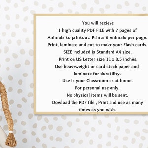 40 Animal Flash Cards Printable Animal Flash Cards Montessori Animal ...