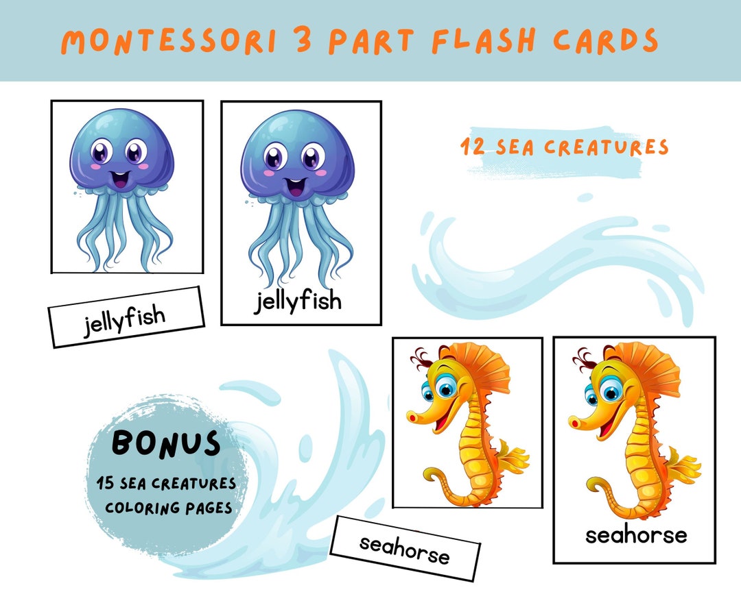 12 Sea Creatures Flashcards Montessori Learning Homeschool - Etsy