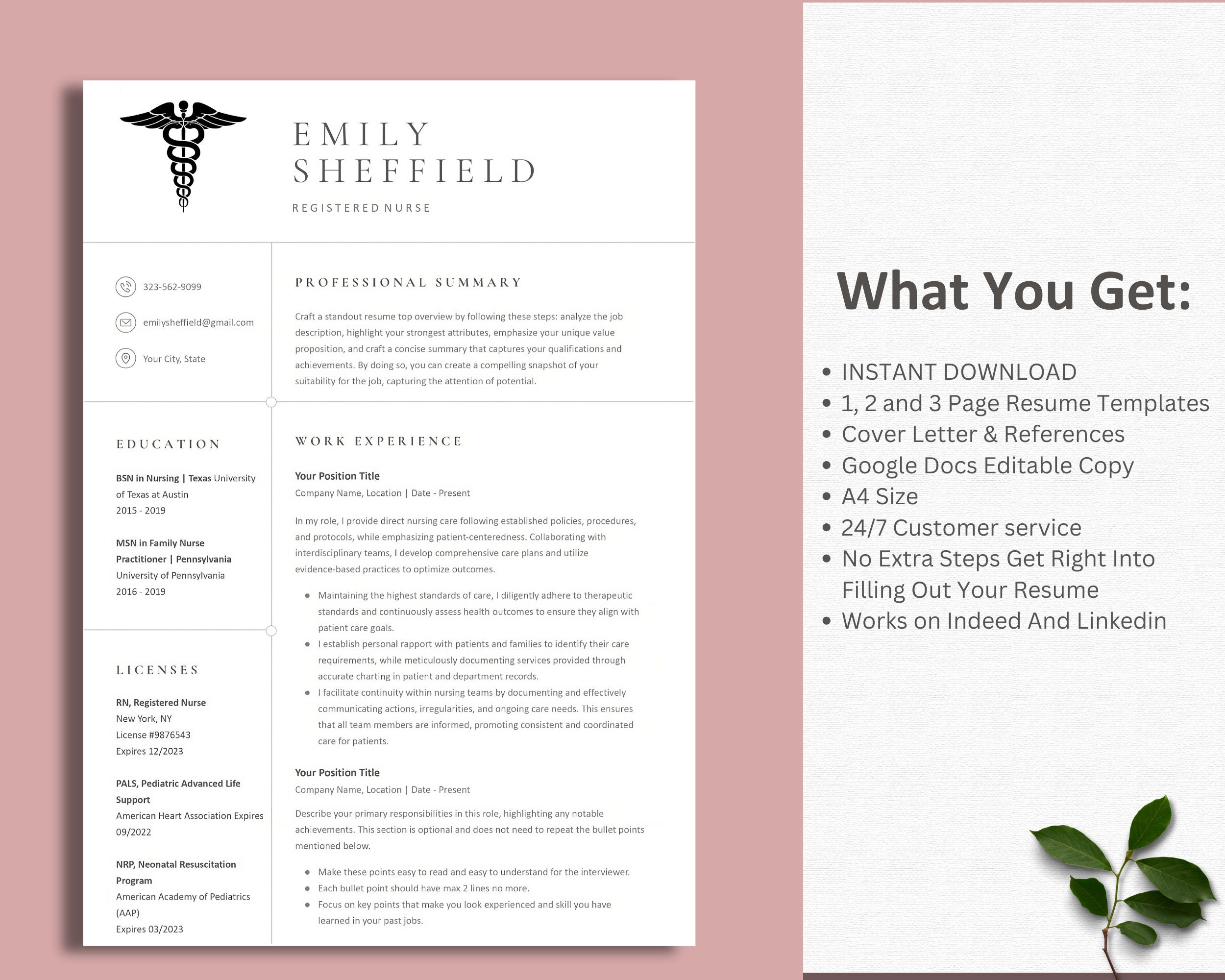 Nursing Resume, Google Docs Resume, Doctor Resume, New Grad Nurse ...