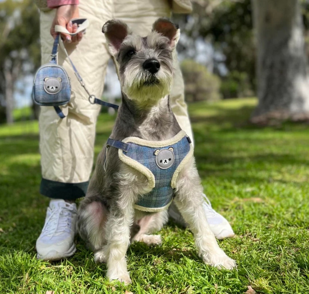Blue Denim Bear Harness - Etsy