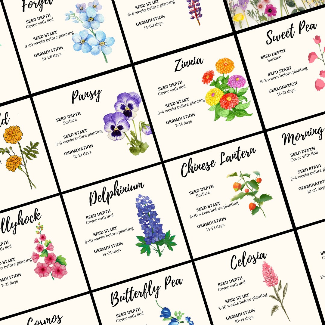 40 Flowers Seed Starting Cheat Sheets 40 Varieties With Complete Care ...