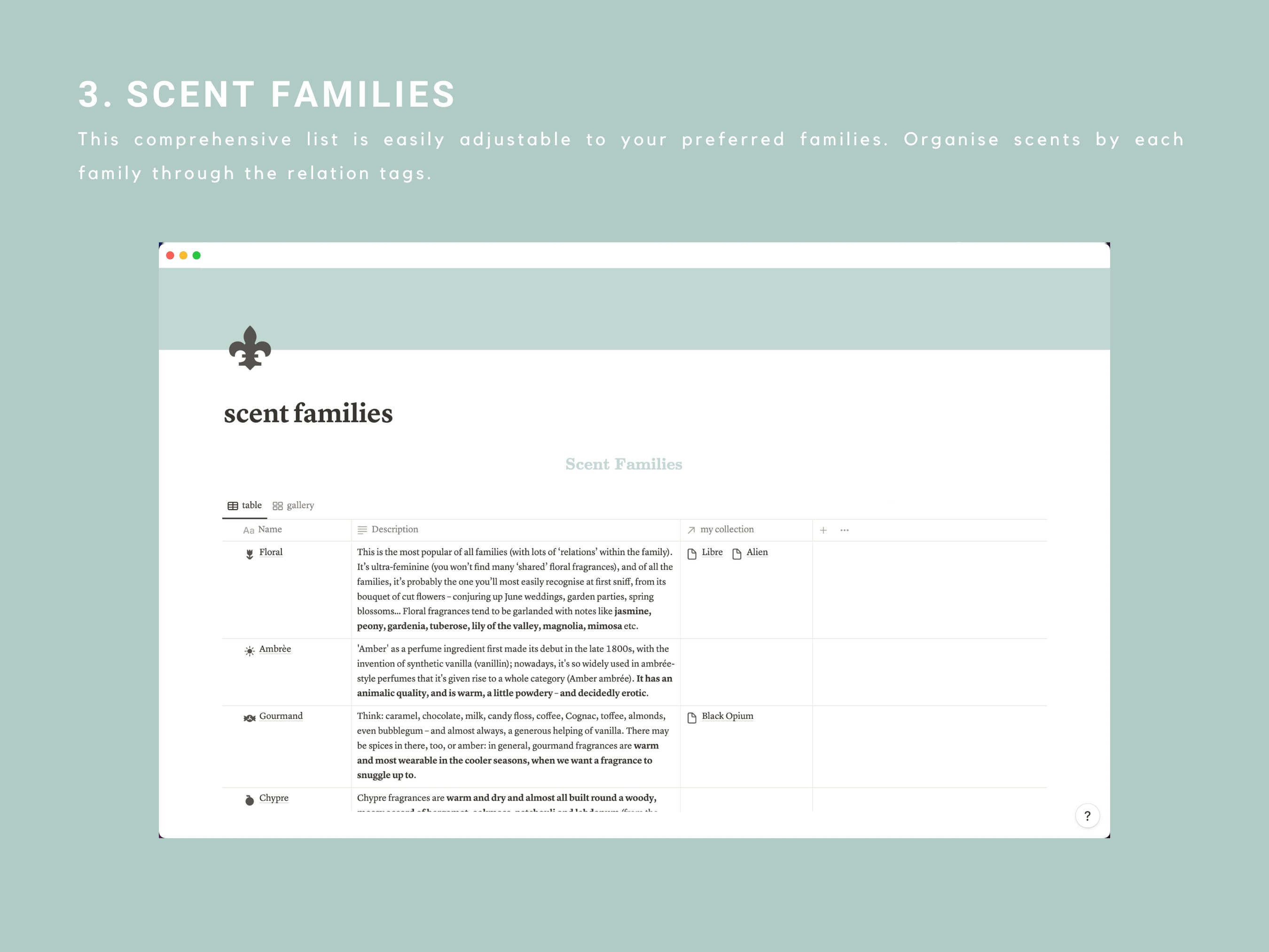 Notion Perfume | Fragrance Tracker | Perfume List | Perfumery | Scents ...