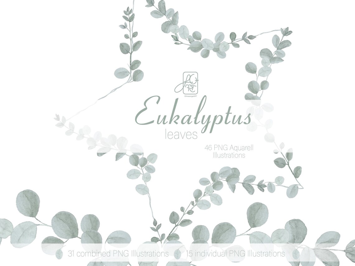Eucalyptus Leaves Watercolor Clipart Greenery Corner Border Greenery ...