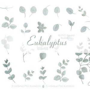 Eucalyptus Leaves Watercolor Clipart Greenery Corner Border Greenery ...