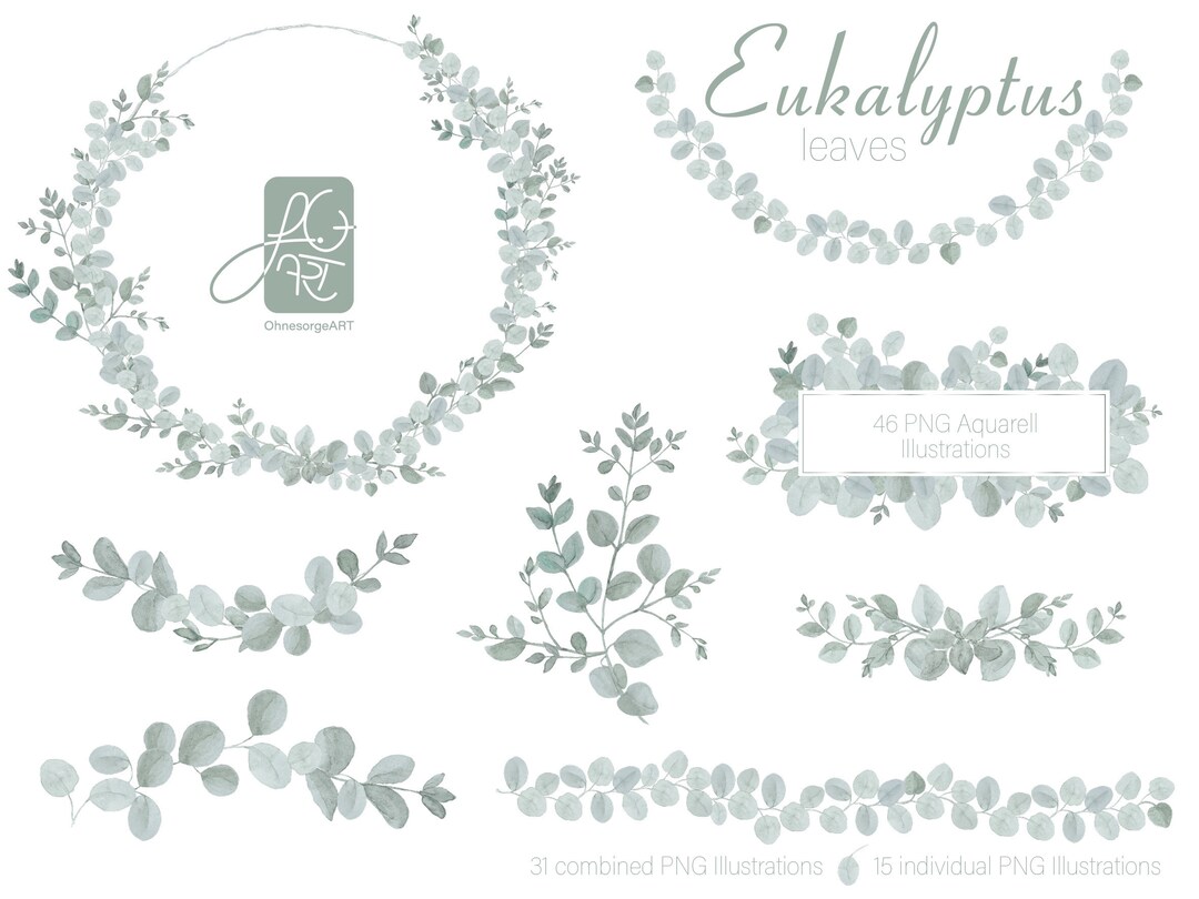 Eucalyptus Leaves Watercolor Clipart Greenery Corner Border Greenery ...