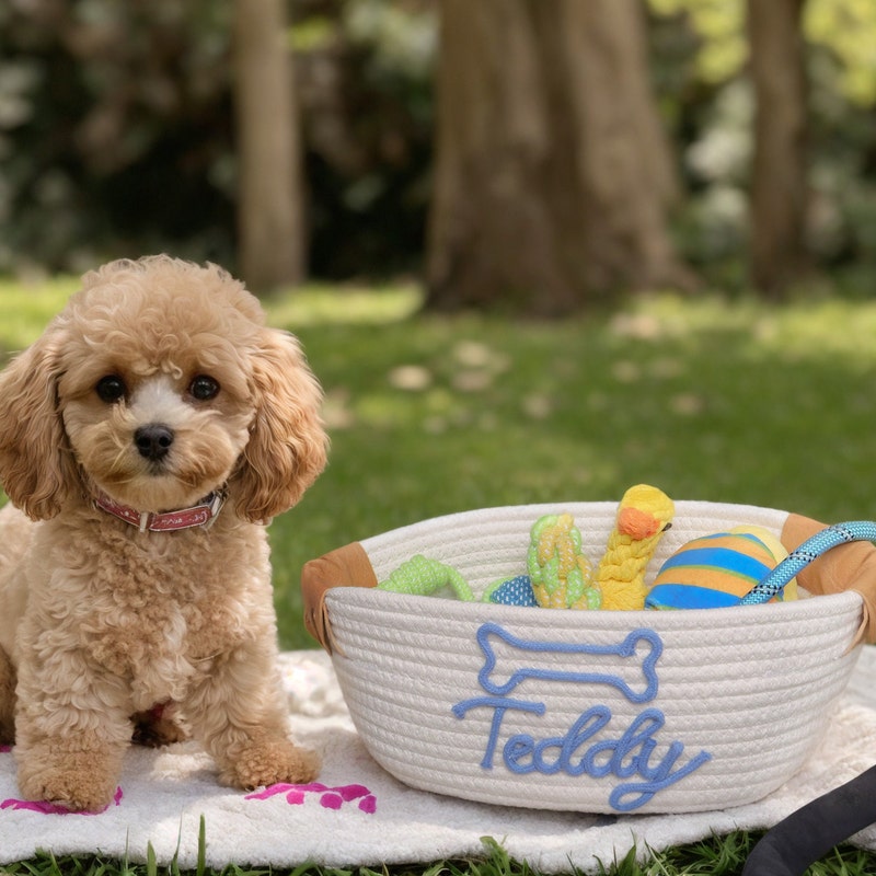 Dog Toy Basket - Etsy