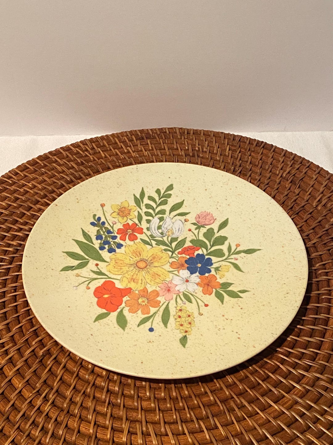 Vintage Melamine Plastic Plates - Set of 6 - Etsy