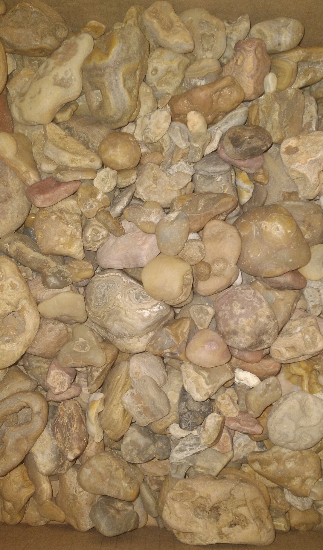 Mississippi Agates Rough Tumbling Assortment - Etsy