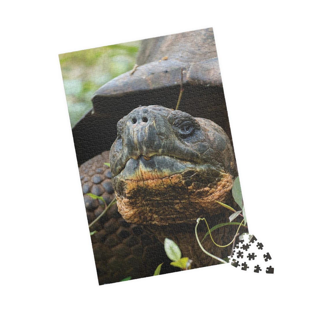 Jigsaw Puzzle, Giant Galapagos Turtle, Animal Lover Wildlife Game, 110 ...