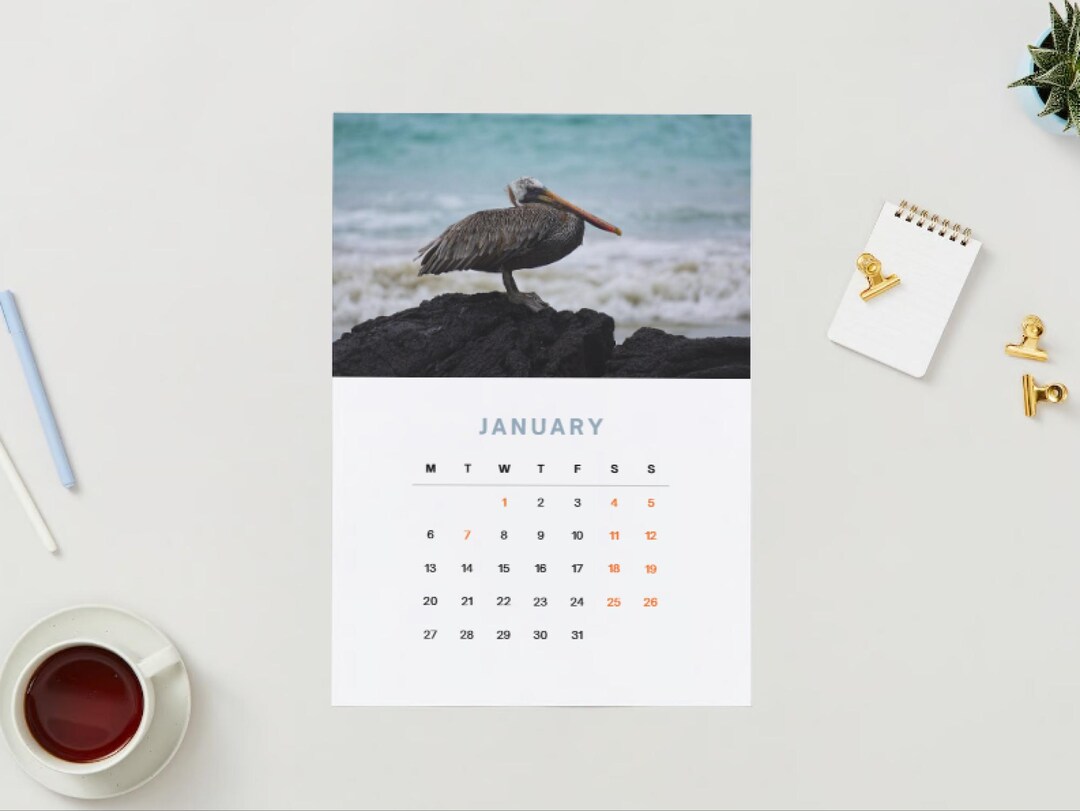 Galapagos Animals Travel Calendar 2025, A3, Digital Download, 12 Pages ...