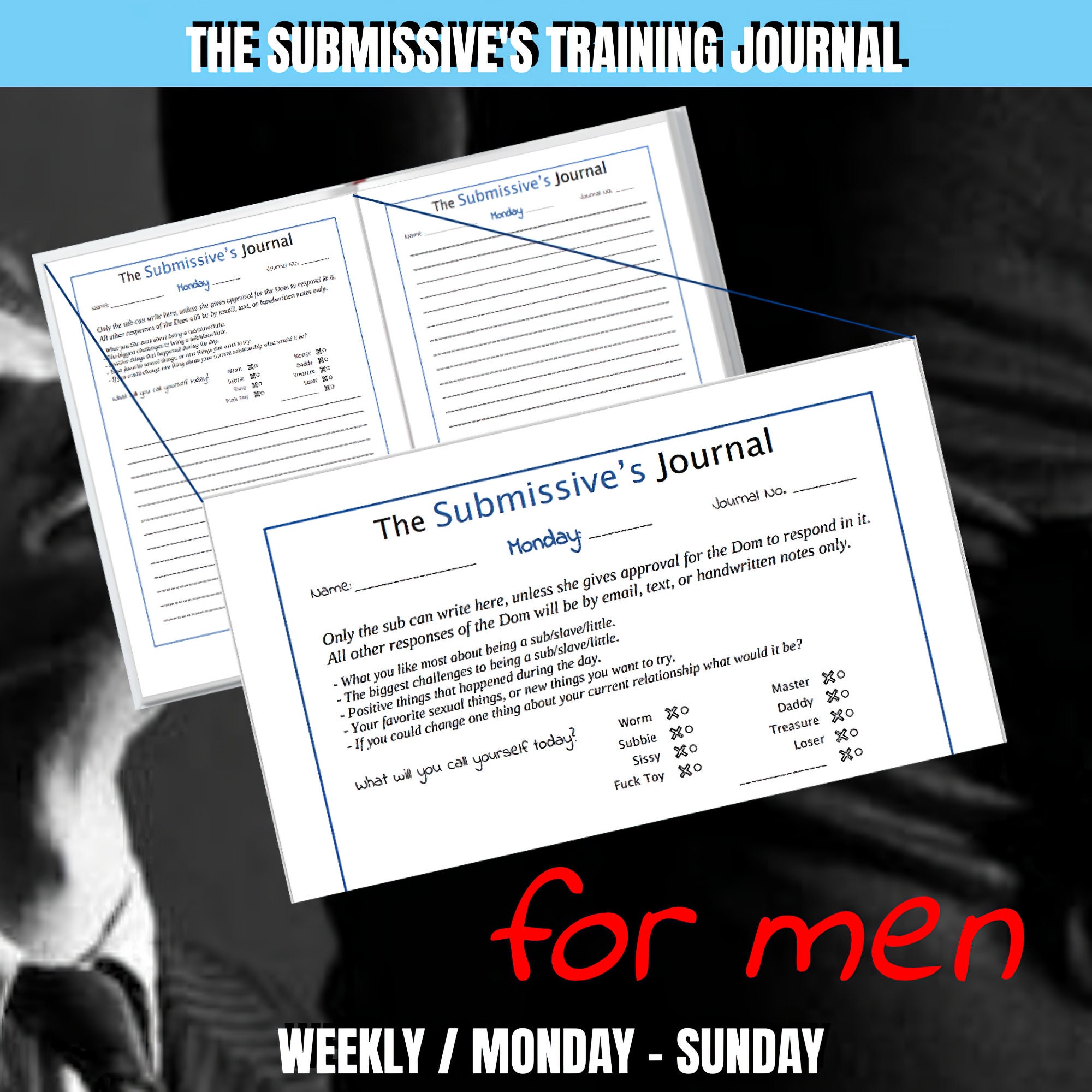 BDSM Femdom Journal for Submissive Man or Husband |dom-sub Journal Kit ...