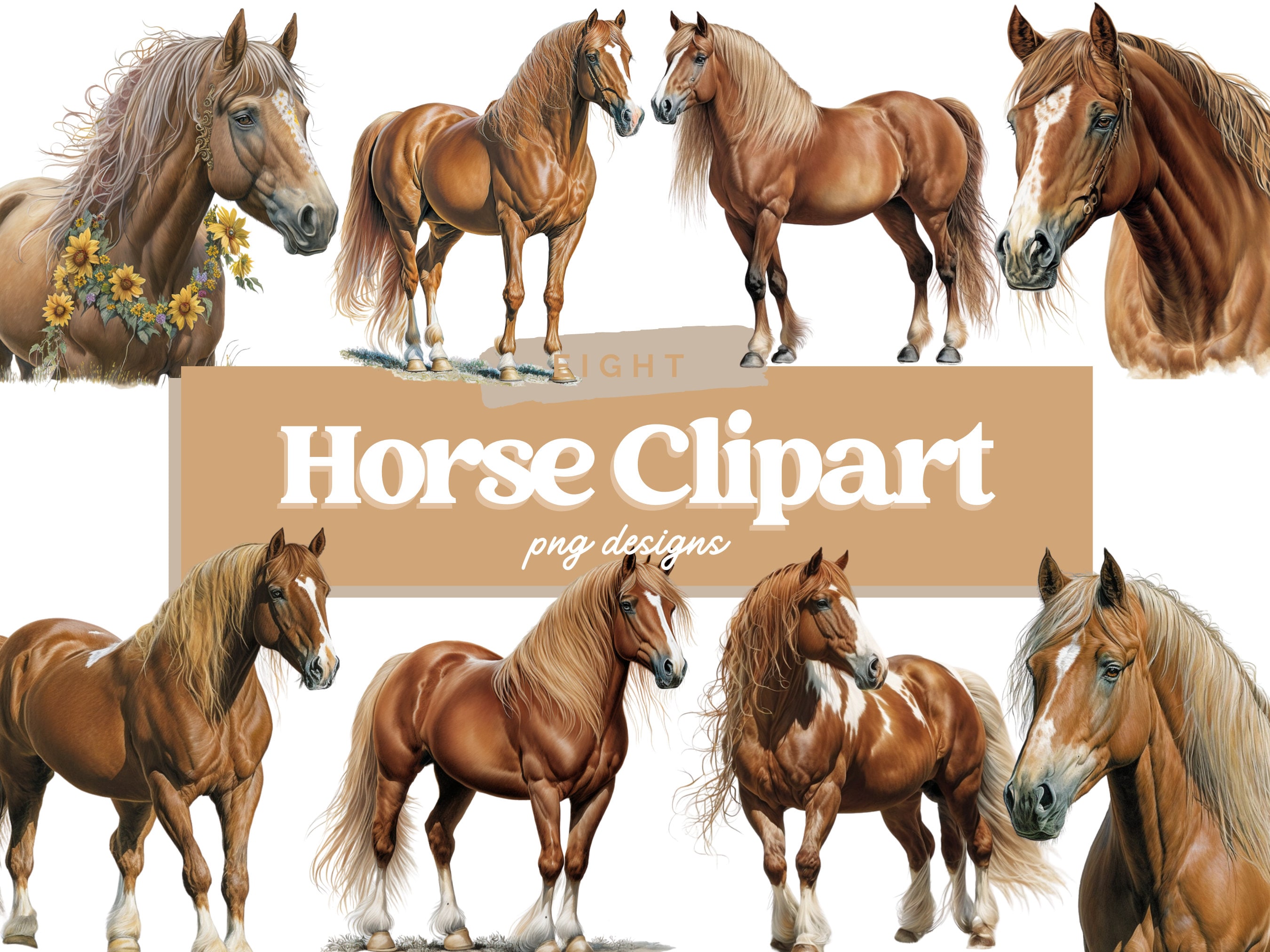 Horse PNG Horse Clipart Set Watercolor Horse Sublimation Designs ...
