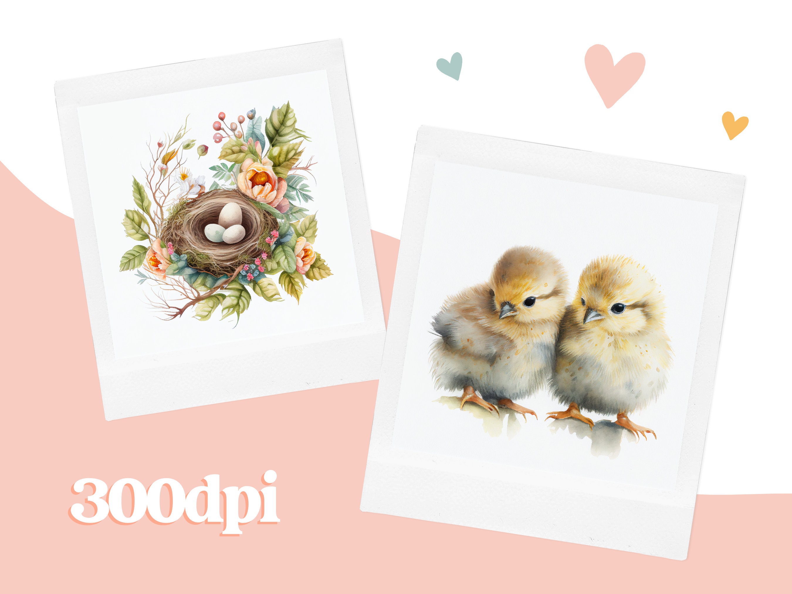 Chicken Animal Clipart Watercolor Chicken Clipart Chicken - Etsy