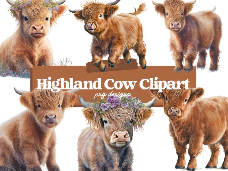 Highland Cow PNG, Cow Watercolor Clipart, Cute Baby Shower Graphics ...