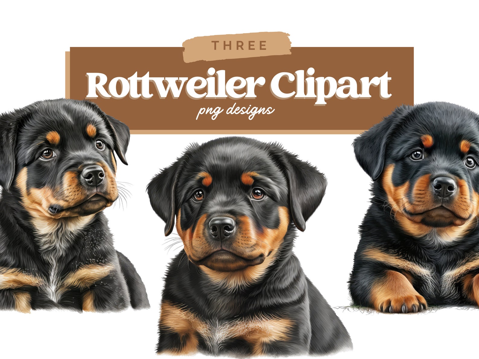 Rottweiler Clipart Dog PNG Rottweiler Puppy Clipart Cute - Etsy