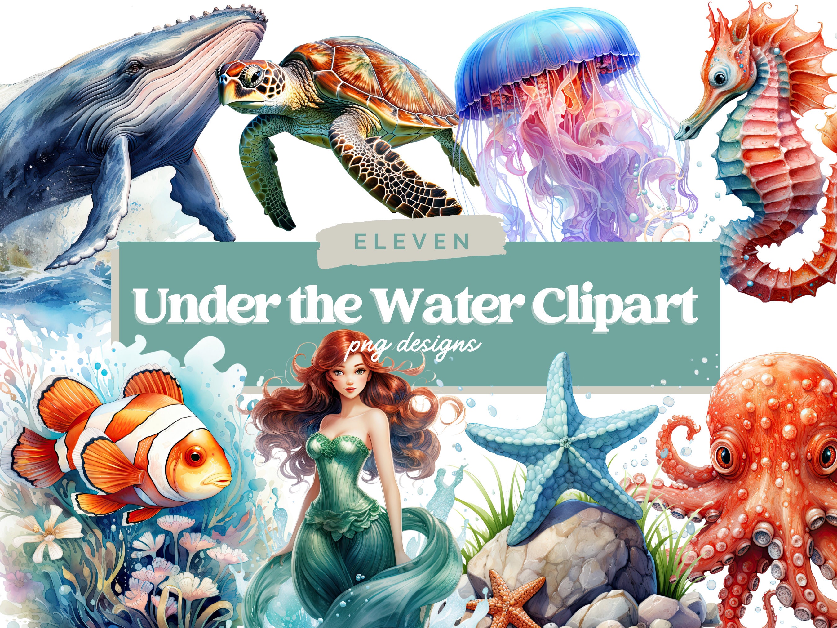 Watercolour Under the Sea Clipart Turtles Shells PNG Digital Image ...