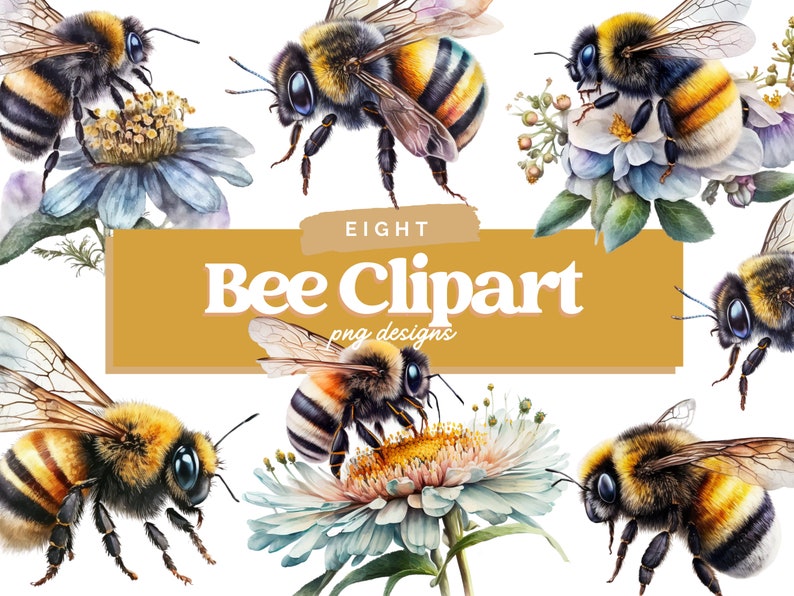 Watercolor Honeybee Clipart Bundle. Summer Clipart. Watercolor - Etsy