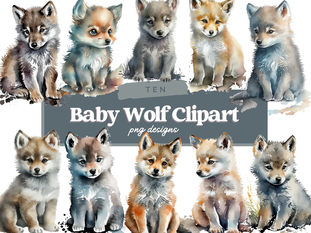 Watercolor Baby Wolf Clipart, Cute Baby Wolf Clipart, Baby Wolf Clipart ...
