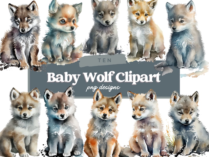 Watercolor Baby Wolf Clipart Cute Baby Wolf Clipart Baby - Etsy