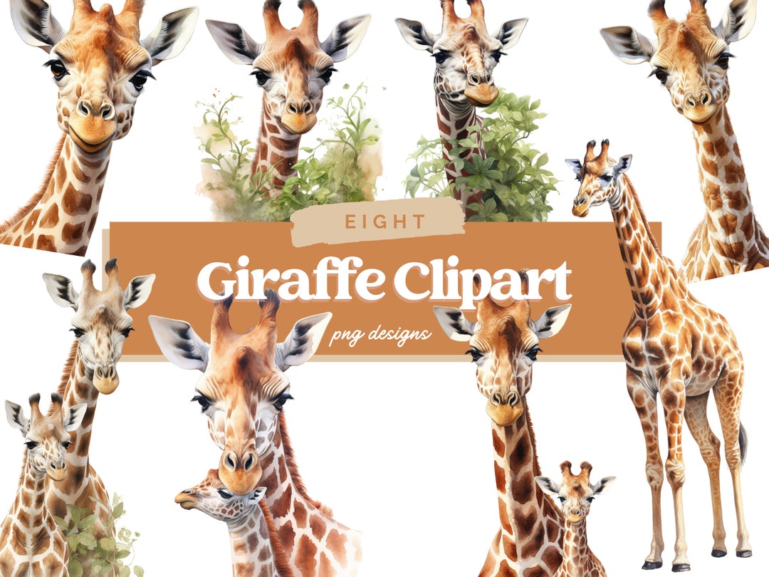 Watercolor Giraffe Clipart Bundle | Watercolor Giraffe PNG | Giraffe ...
