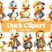 Duck Clipart Bundle, Duck PNG, Cartoon Duck, Watercolor Clipart ...