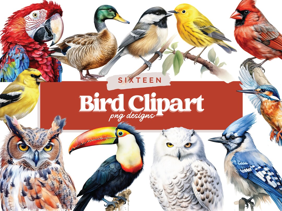 Watercolor Birds Clipart Bundle, Spring Birds Clipart, Birds Bundle ...