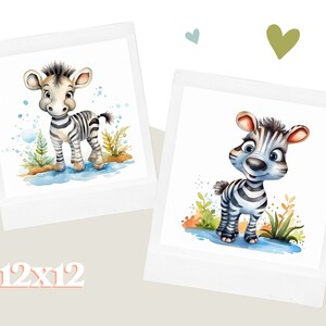 Zebra Watercolor Clipart, Zebra PNG, Cute Baby Shower Graphics, Nursery ...
