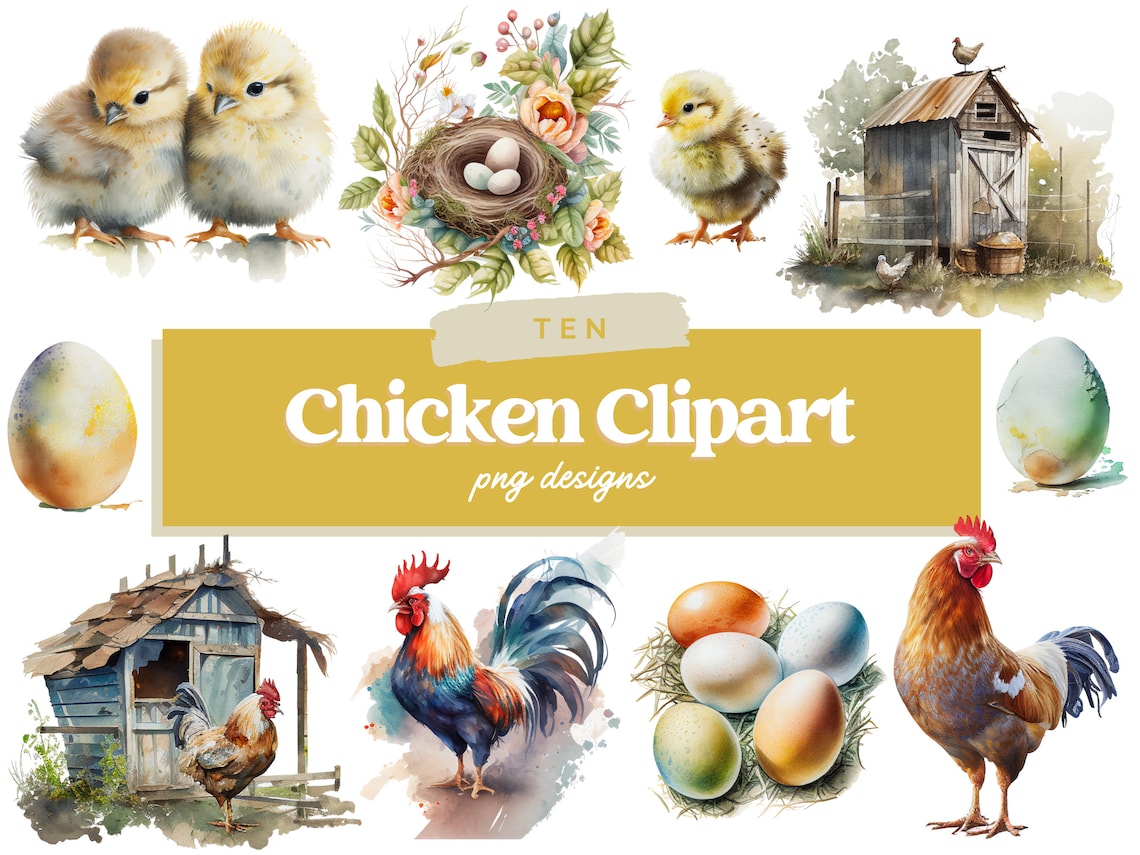 Chicken Animal Clipart Watercolor Chicken Clipart Chicken - Etsy