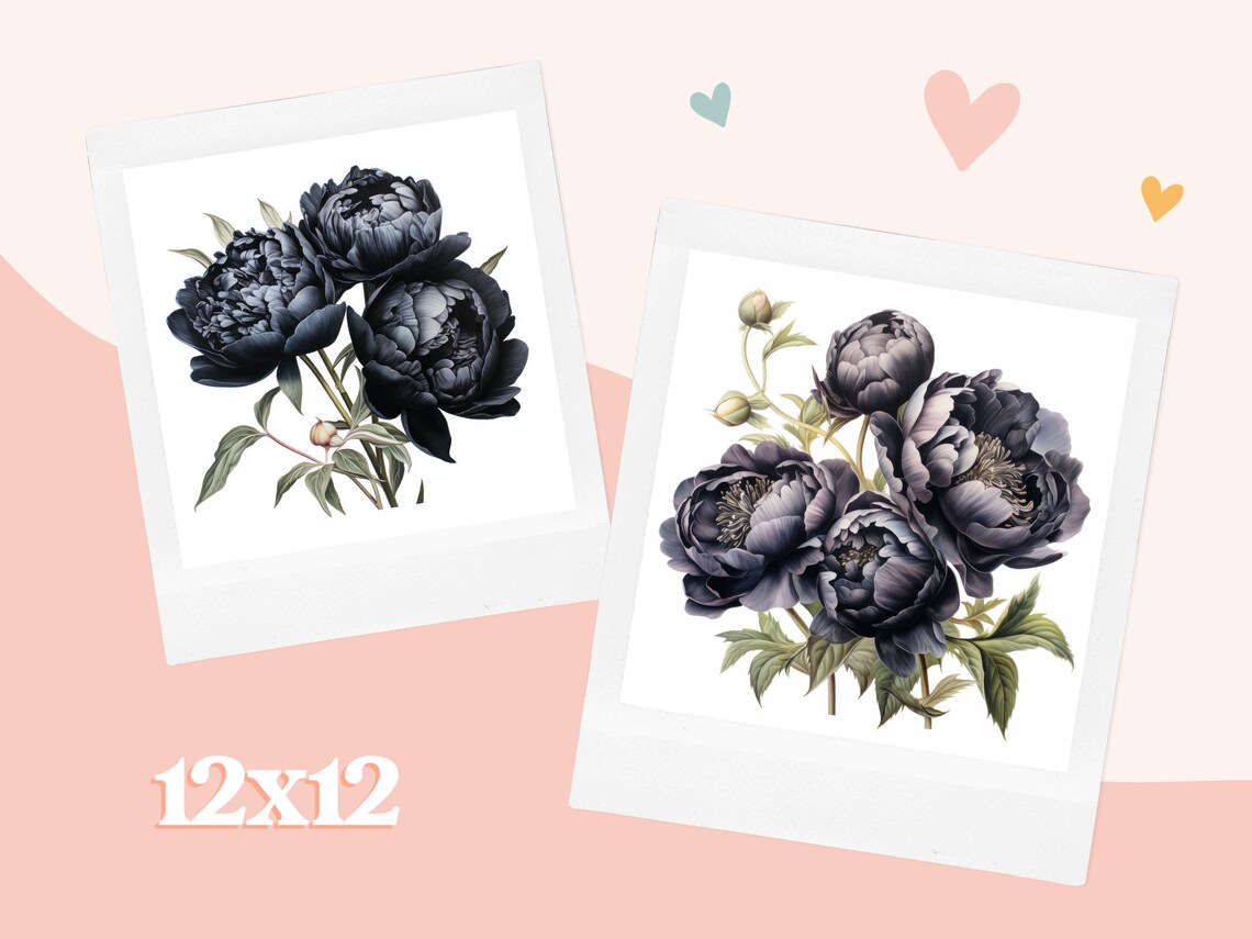 Black Peonies Watercolor Clipart, Summer Flowers Clipart, Peonies ...