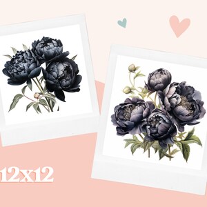 Black Peonies Watercolor Clipart, Summer Flowers Clipart, Peonies ...