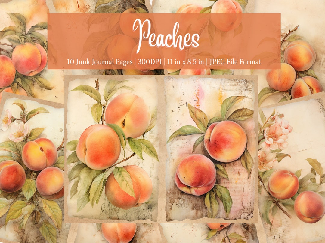Peach Junk Journal Pages, Digital Scrapbook Paper Kit, Fruit Printable ...