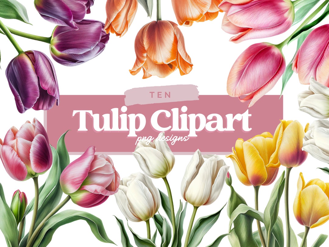Watercolor Tulips Digital Illustration Bundle, Tulip Digital Paper ...