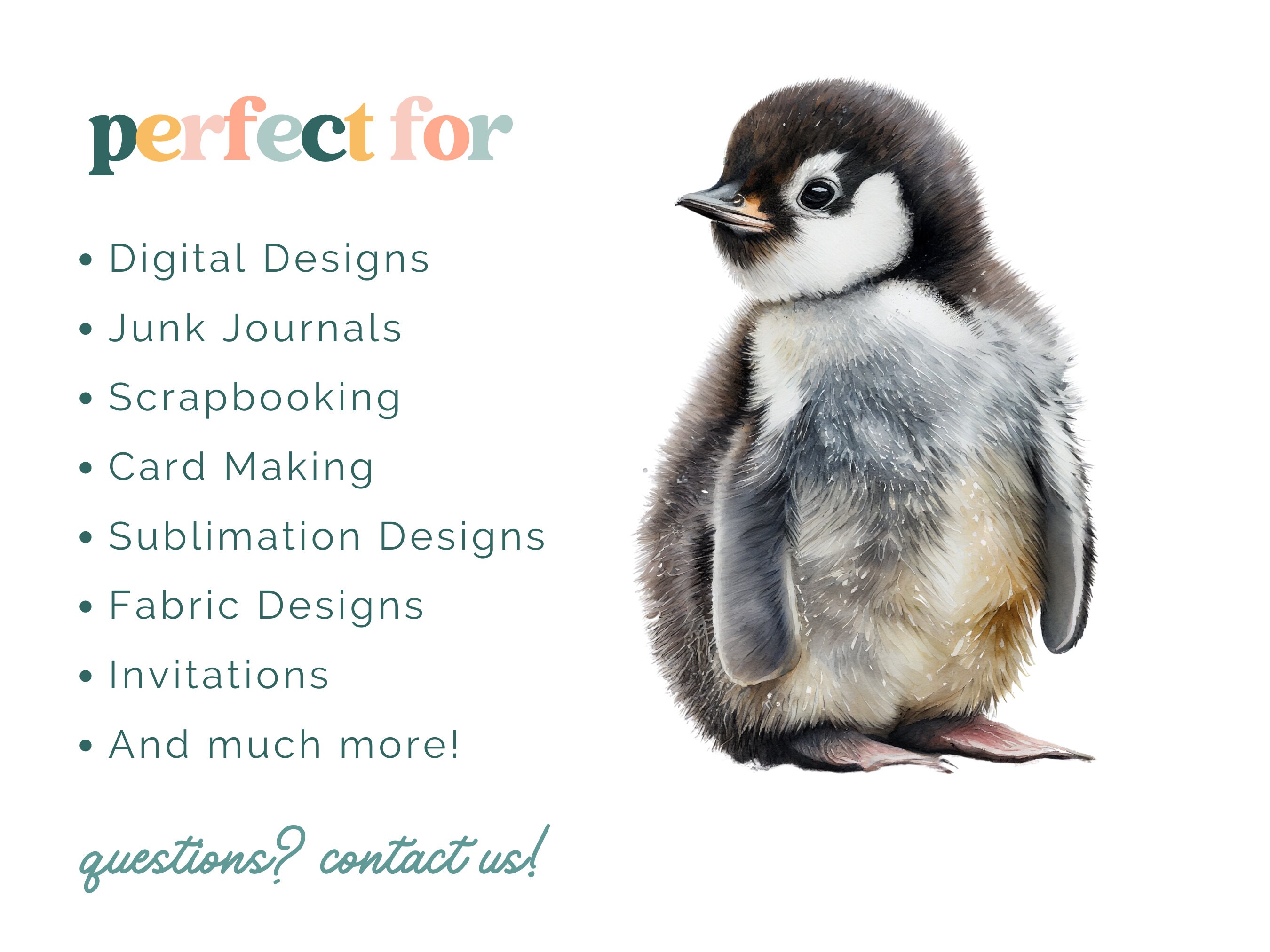 Watercolor Penguin Clipart, Penguin Clipart PNG, Penguin Clipart Bundle ...