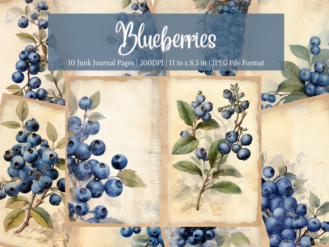 Blueberries Junk Journal Pages, Berry, Digital Scrapbook Paper Kit ...