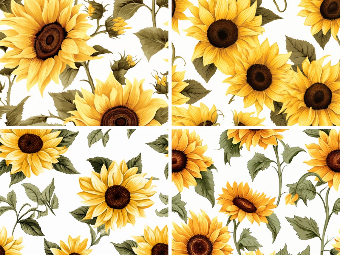 Sunflower Digital Paper, Journal Paper, Web Background, Commercial Use ...