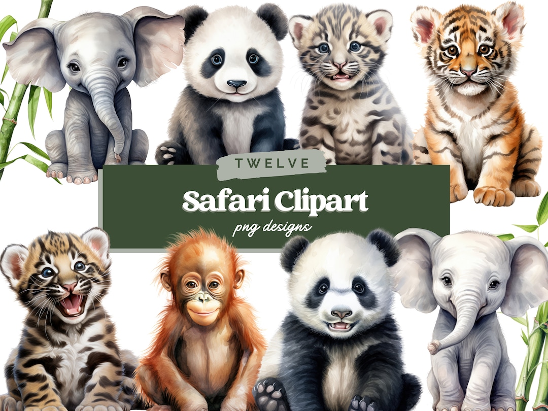 Watercolor Baby Safari Animal Clipart Safari Animals PNG Baby Shower ...