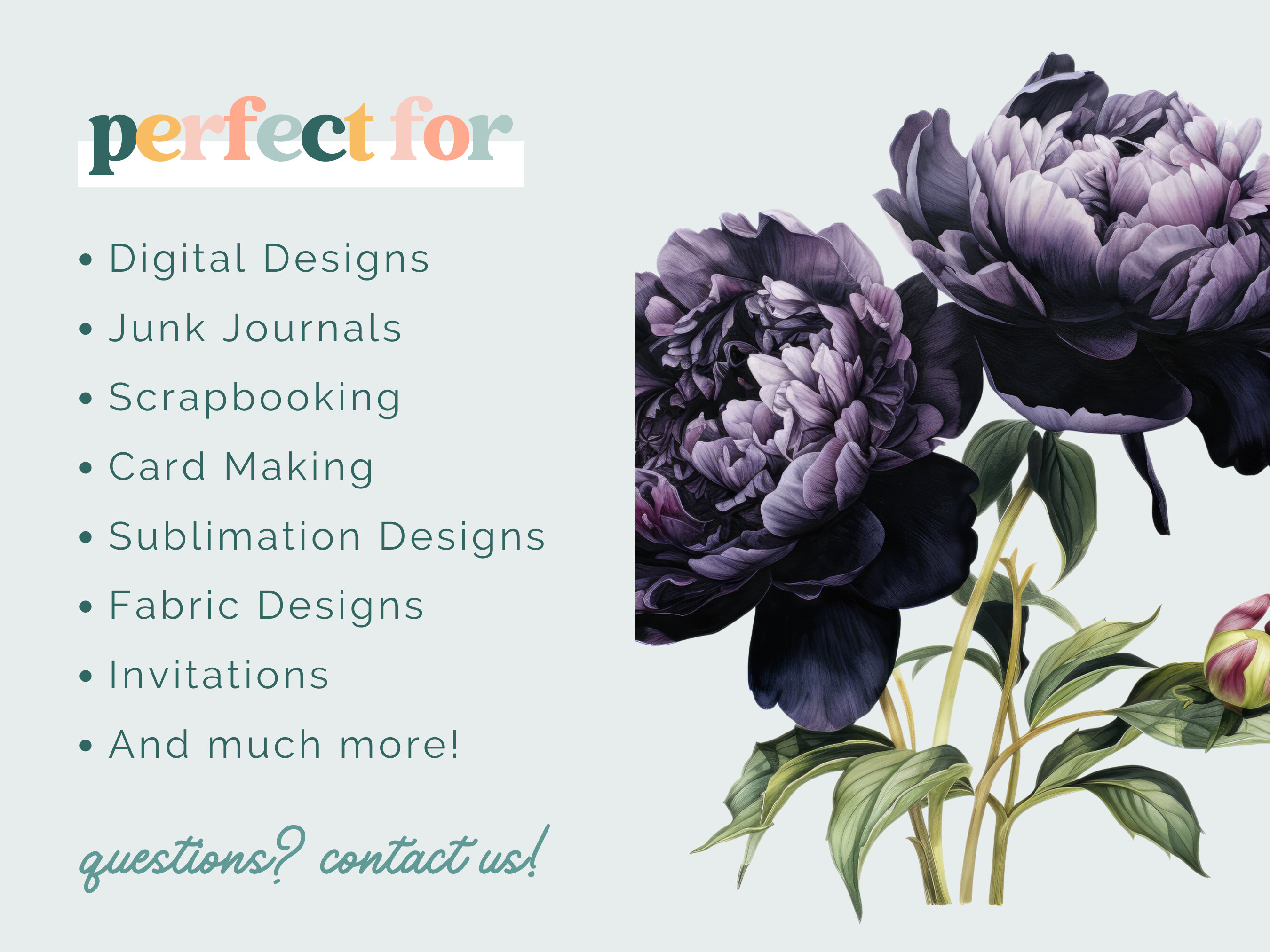 Black Peonies Watercolor Clipart, Summer Flowers Clipart, Peonies ...