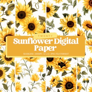 Sunflower Digital Paper, Journal Paper, Web Background, Commercial Use ...